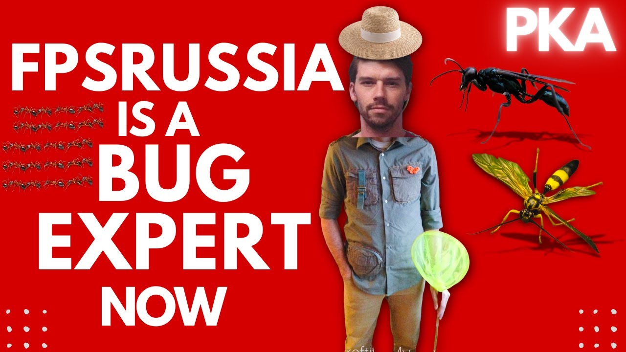 Kyle is a Bug Expert PKA 748 - YouTube
