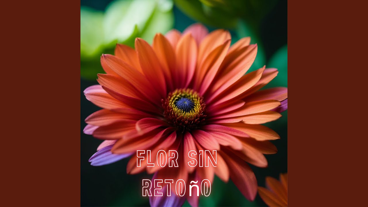Flor Sin Retoño - YouTube