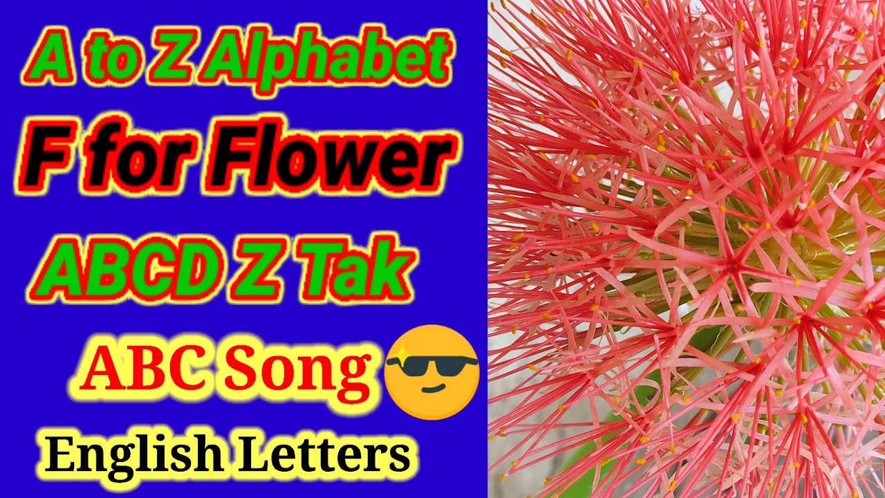 Learn A to Z English Letters, ABCD Z Tak, abc song, abc rhymes, abc ...