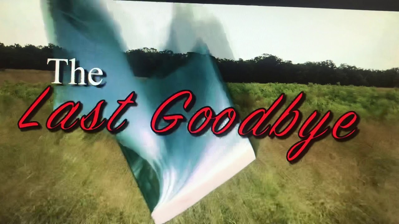 Granddaughter talks about her Papa’s book. The Last Goodbye By John ...