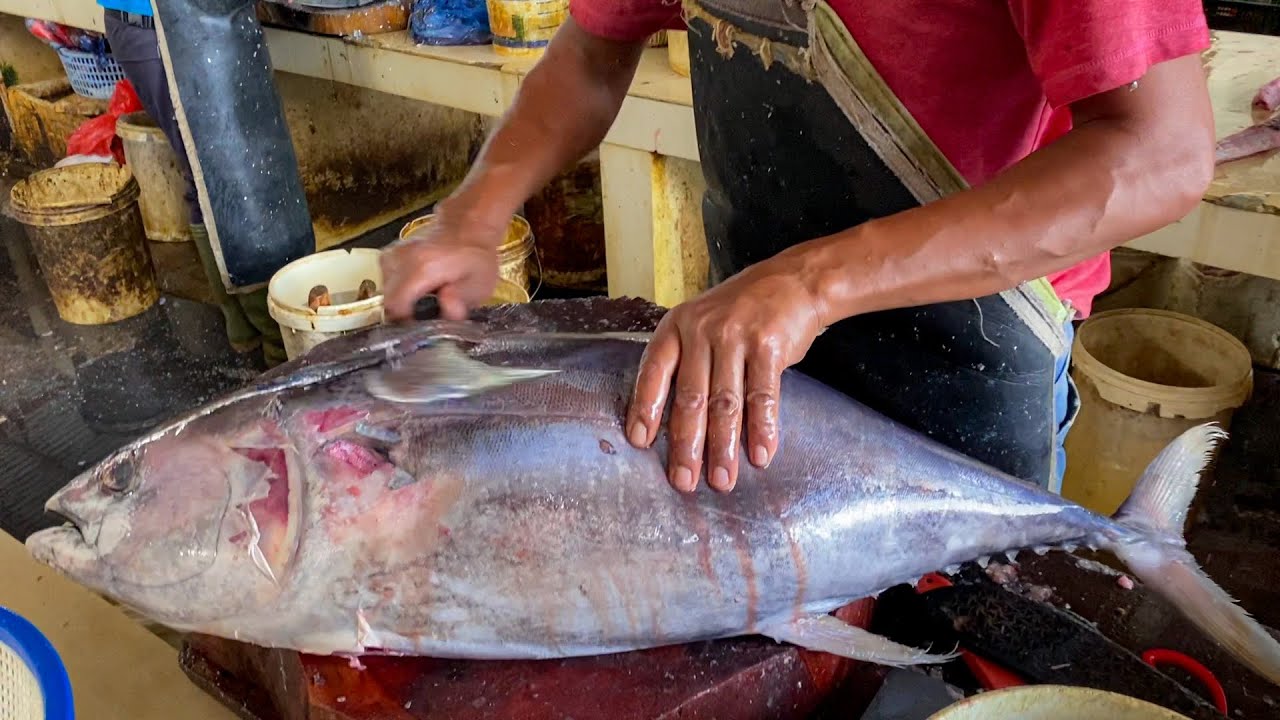 AMAZING FAST TUNA FISH CUTTING || 4 MINUTES CUTTING || SELECTION OF ...
