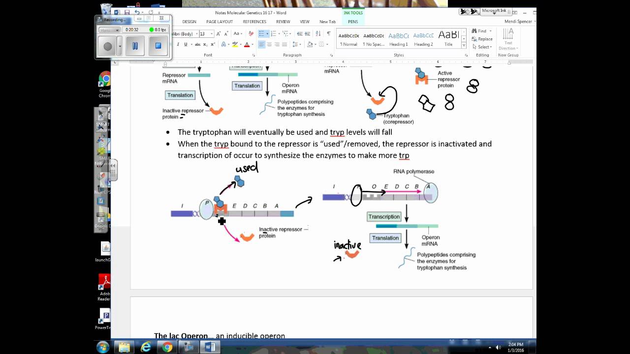 Unit 6 Lecture 5 Bacteria & Operons - YouTube