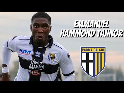 Emmanuel Hammond Tannor • Parma Calcio 1913 • Highlights Video (Goals ...