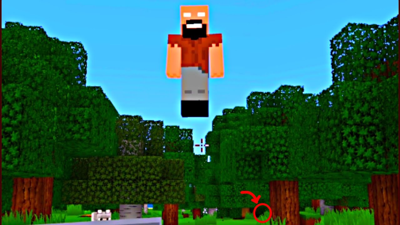NOTCHBRINE ESTABA VOLANDO! / EN BUSCA DE COSAS PARANORMALES! - YouTube