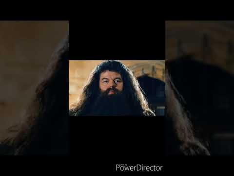 El Peluca Sape - YouTube