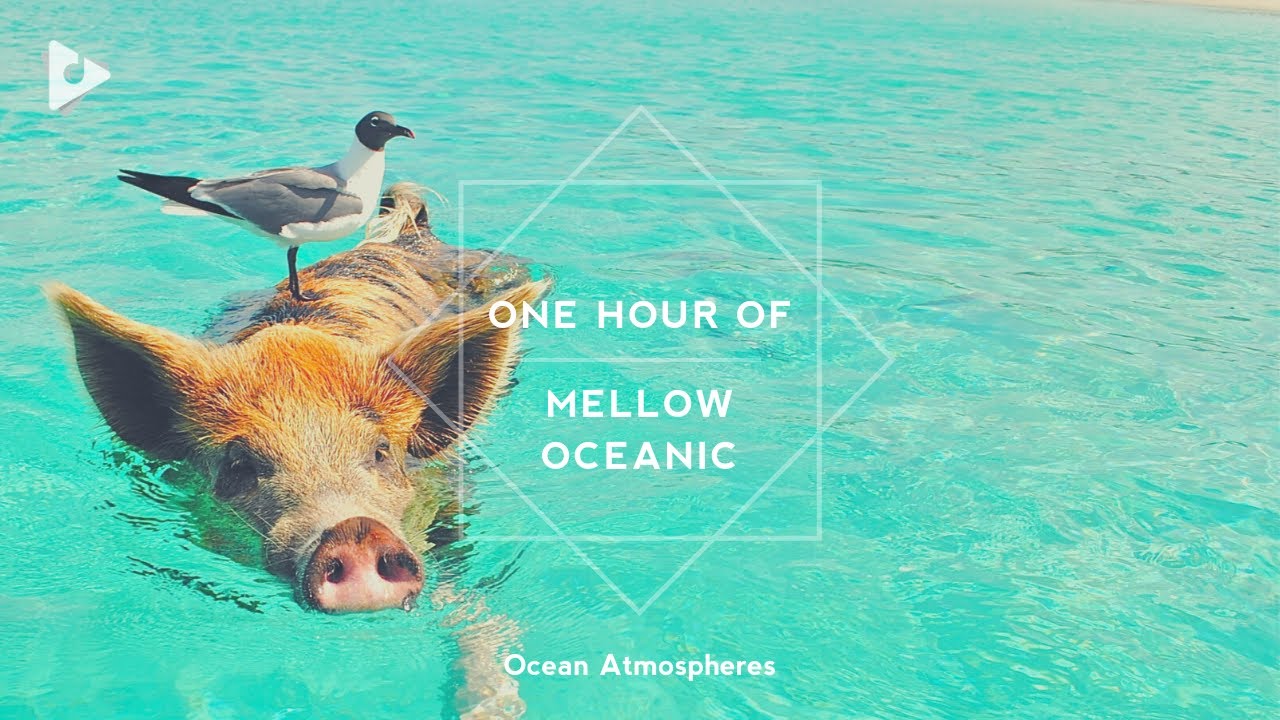 One Hour of Mellow Oceanic - Beach Waves for Perfect Peace | Ocean ...