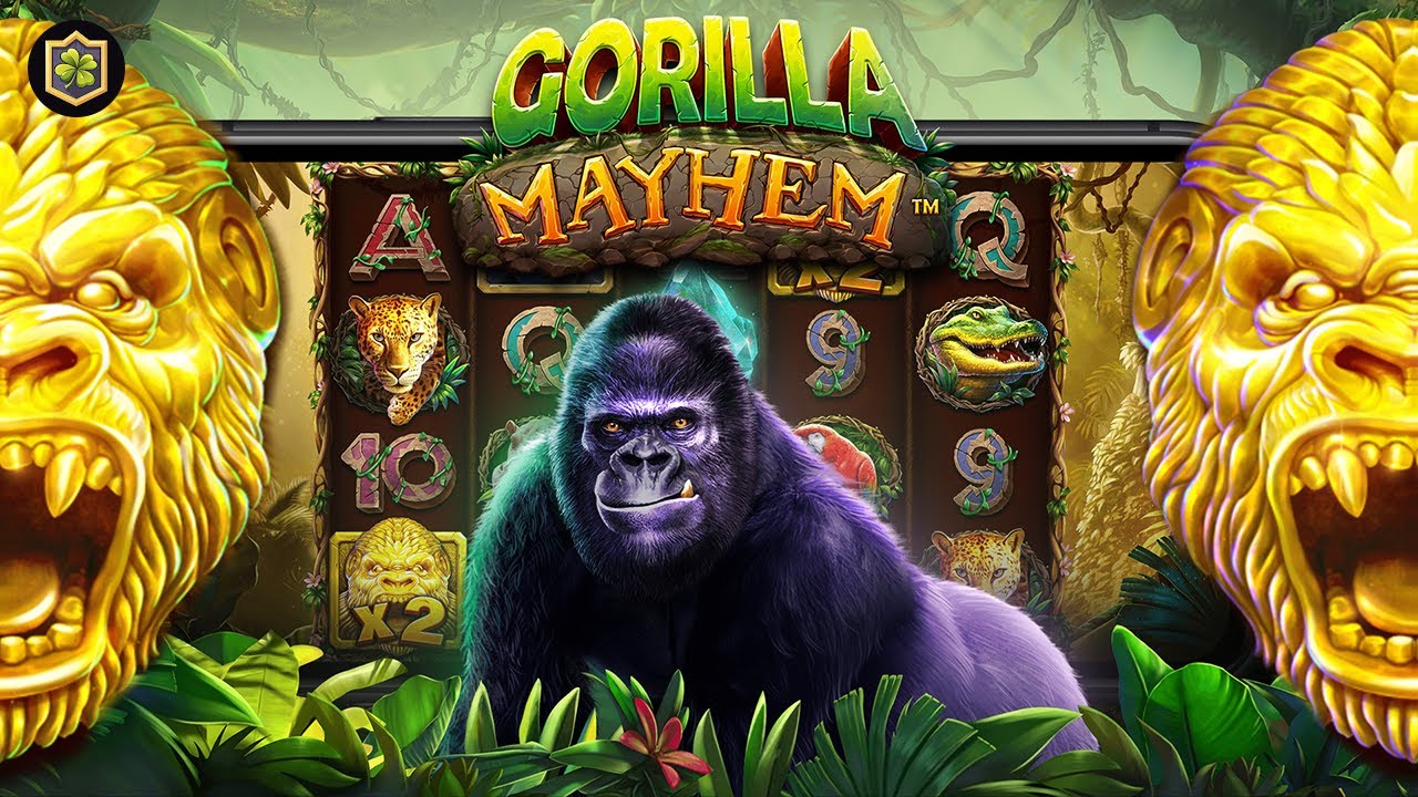 x305 Gorilla Mayhem (Pragmatic Play) Online Slot EPIC BIG WIN - YouTube