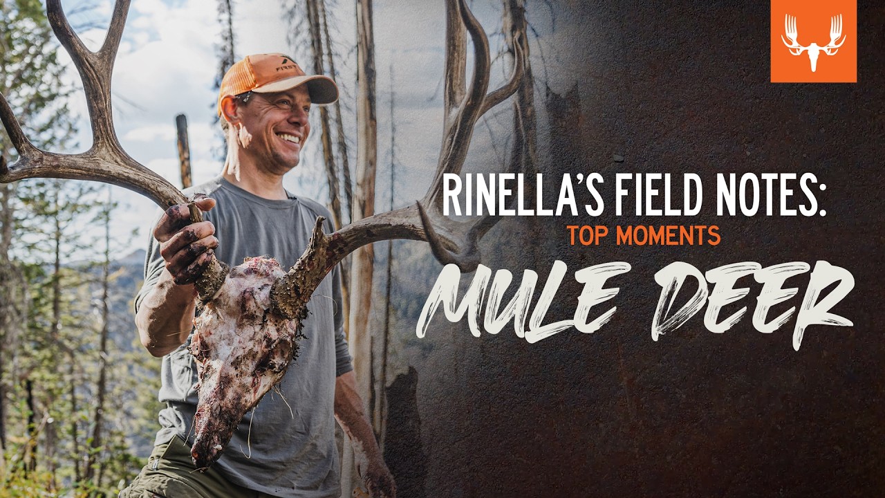 Steve's Greatest Mule Deer Hunts | Rinella's Field Notes - YouTube