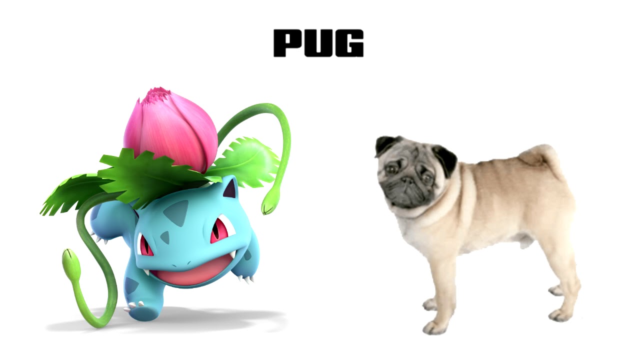 SSBU Characters and their Inner Dog Breeds - YouTube