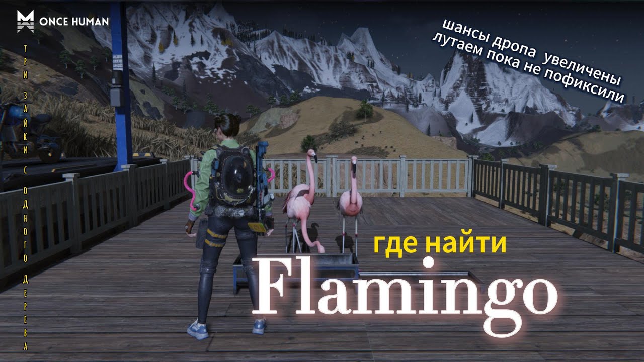 Once Human flamingo где найти #oncehuman - YouTube