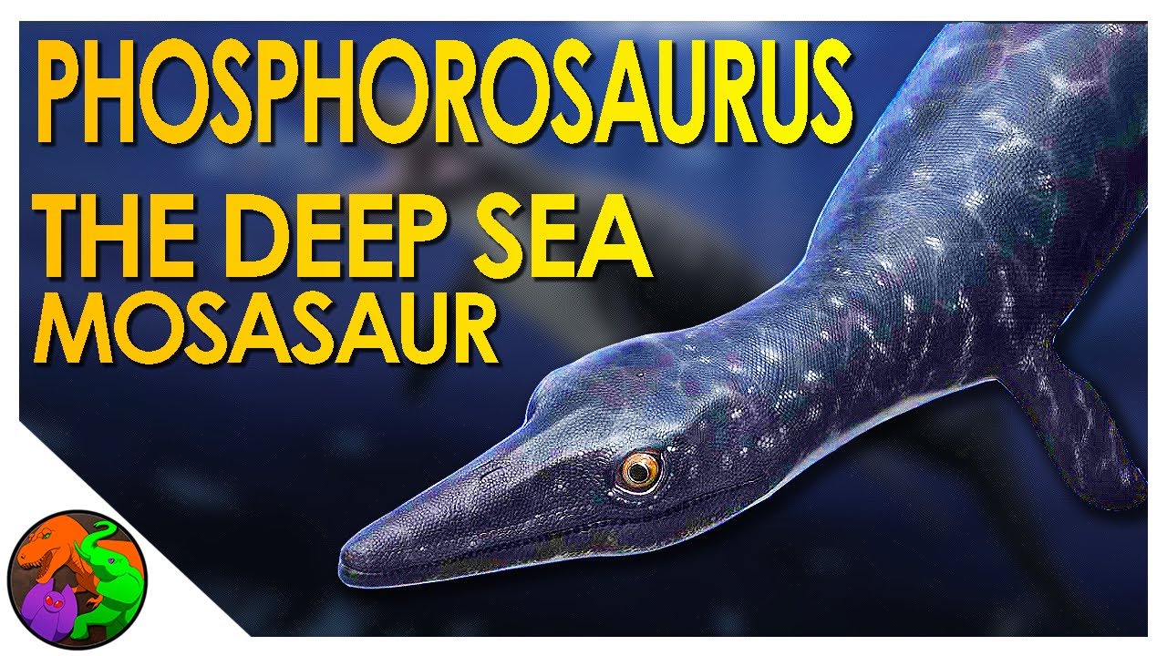 Phosphorosaurus | Deep Sea Japanese Mosasaur - YouTube