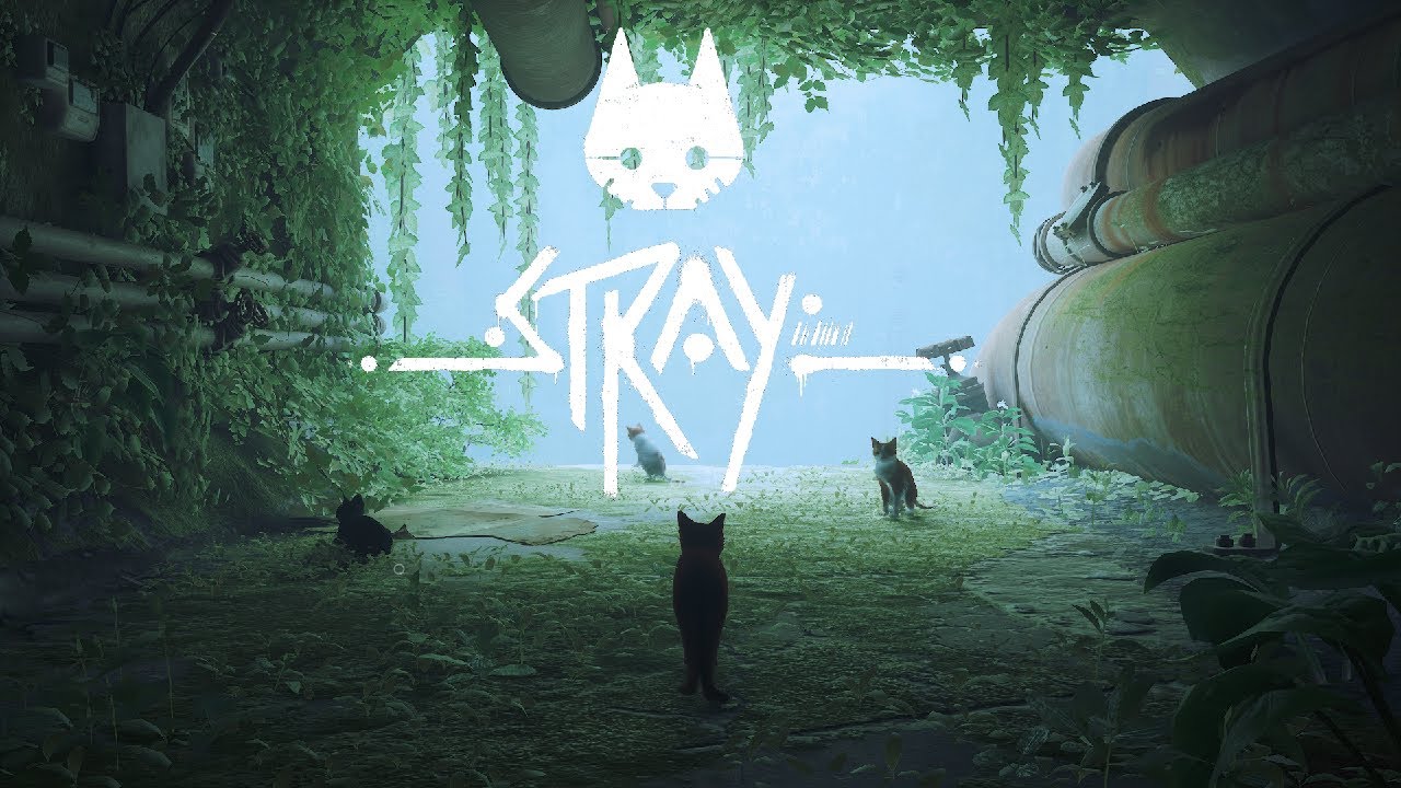 Untitled Cat Game - Stray LIVE Part 1 - 23/07/2022 - YouTube