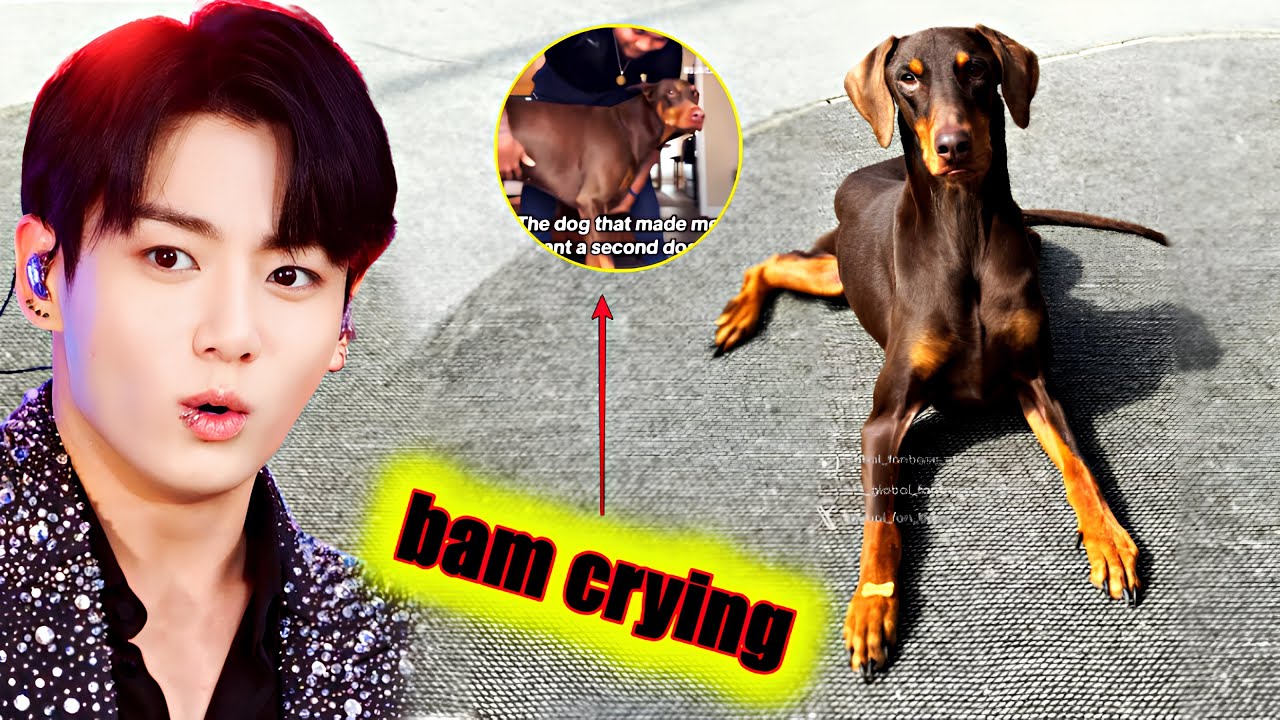 Jungkook is shocked! BAM's behavior changed drastically - YouTube