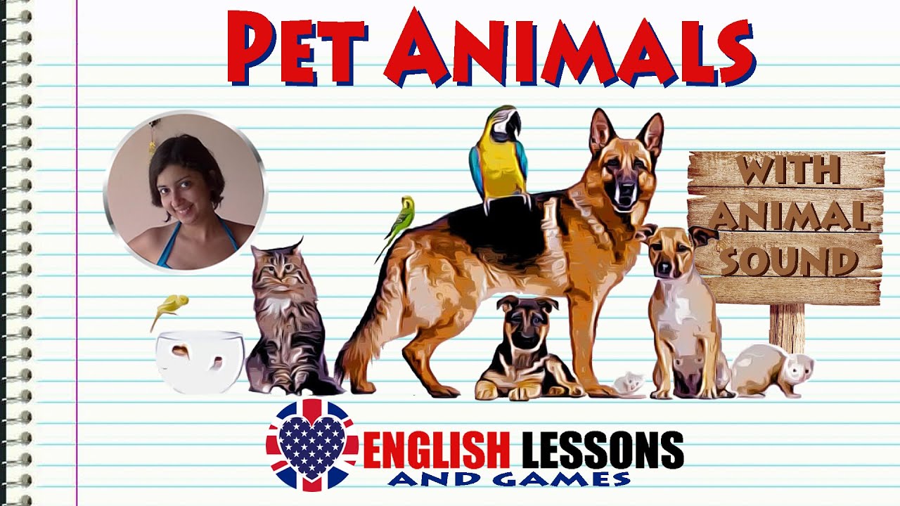 Pet animals (with real animal sound) | Animais de estimação (com som ...