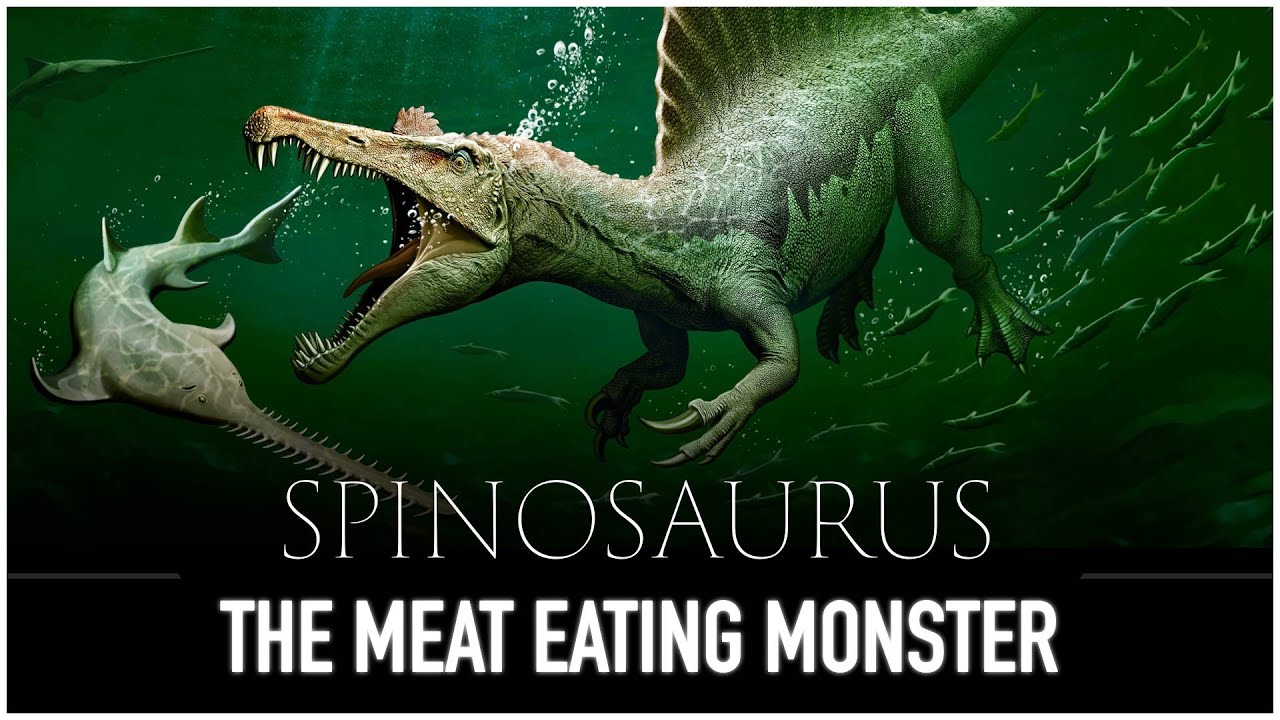 Spinosaurus: The Scariest Carnivorous Dinosaur to Have Ever Lived ...