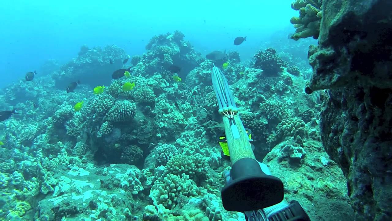 Hawaii Spearfishing: SKS DIVE 13 'Summer Action' ULUA - YouTube