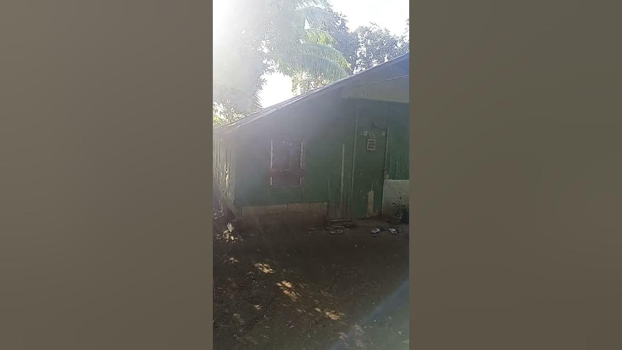 walking around showing the property in the province. #provincelifeinphilippines #pigs #ducks ...