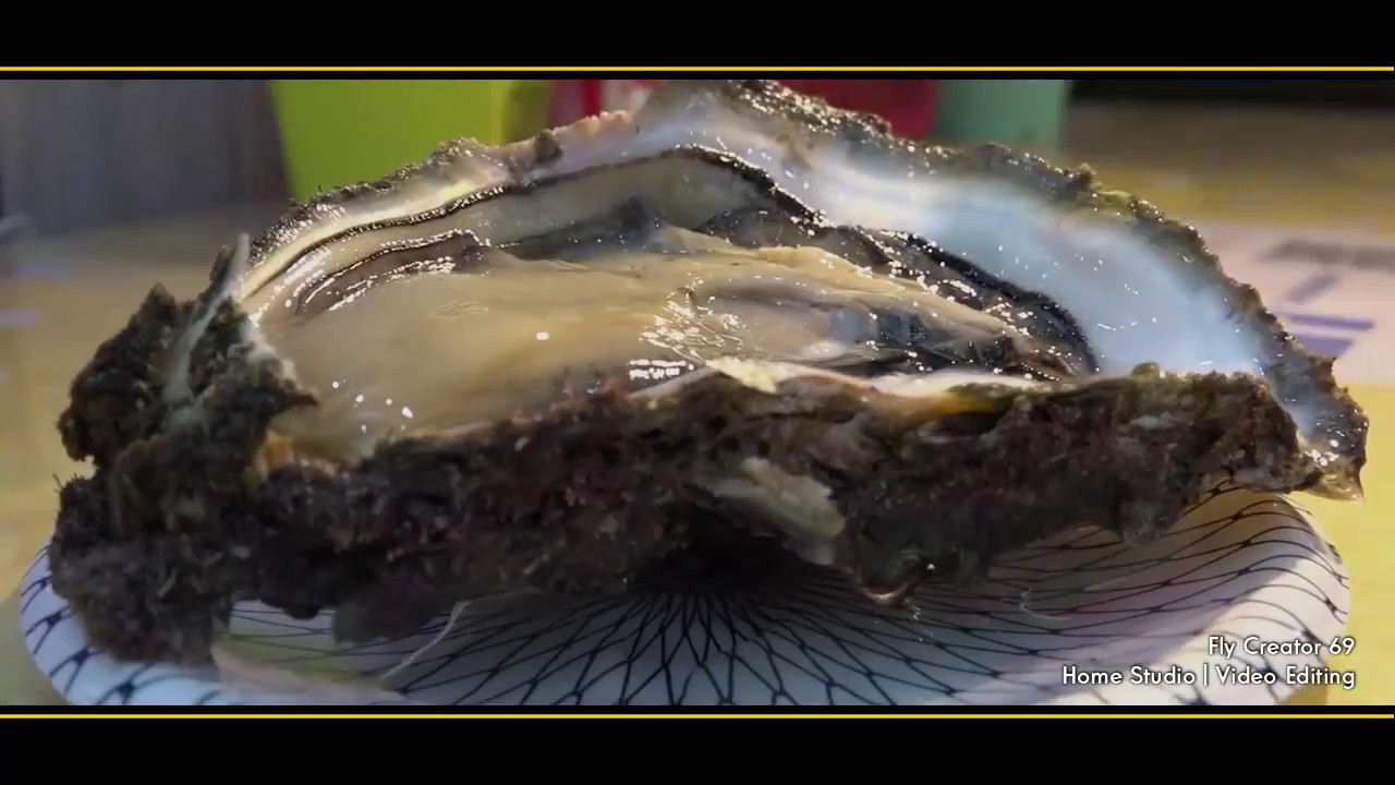 TIRAM | 7 Manfaat Tiram (Sea Food) - YouTube