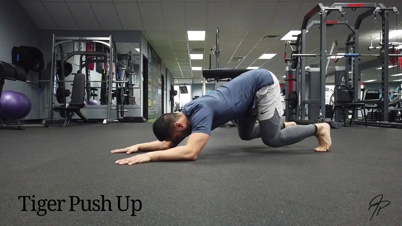 Tiger Push Up - YouTube