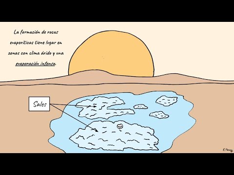 ROCAS SEDIMENTARIAS NO DETRÍTICAS: ROCAS EVAPORITAS (Evaporíticas) 🧂 ...