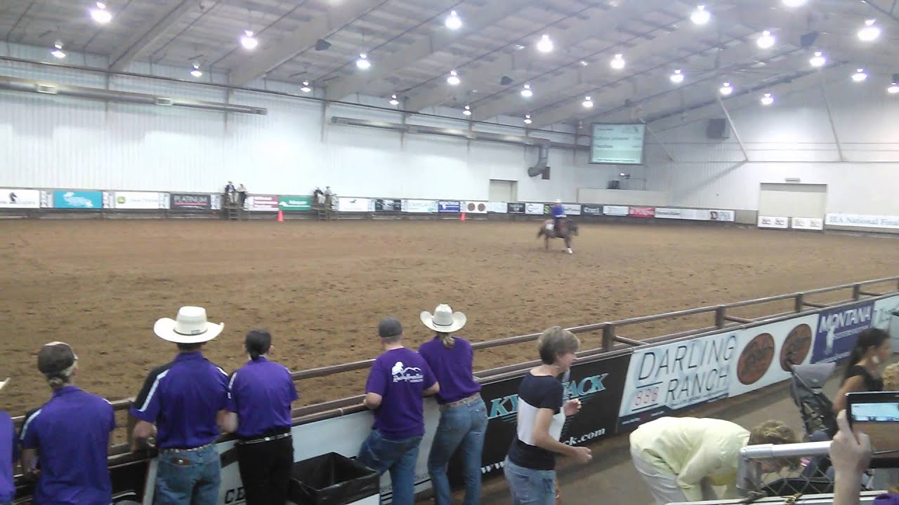 Sabrina Johnson IEA national reining pattern - YouTube