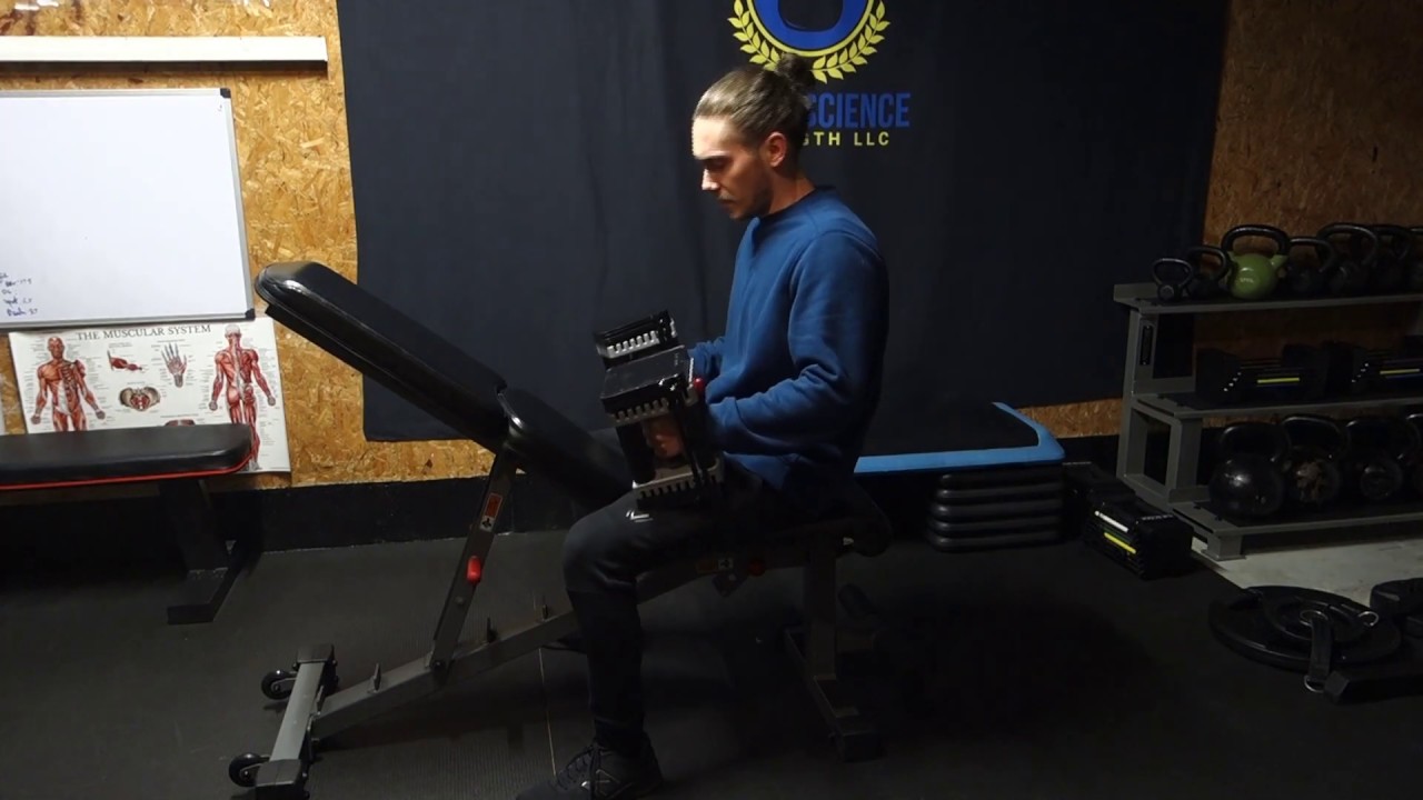 Bench Assisted Dumbbell Row Exercise Tutorial - Sound Science Strength ...