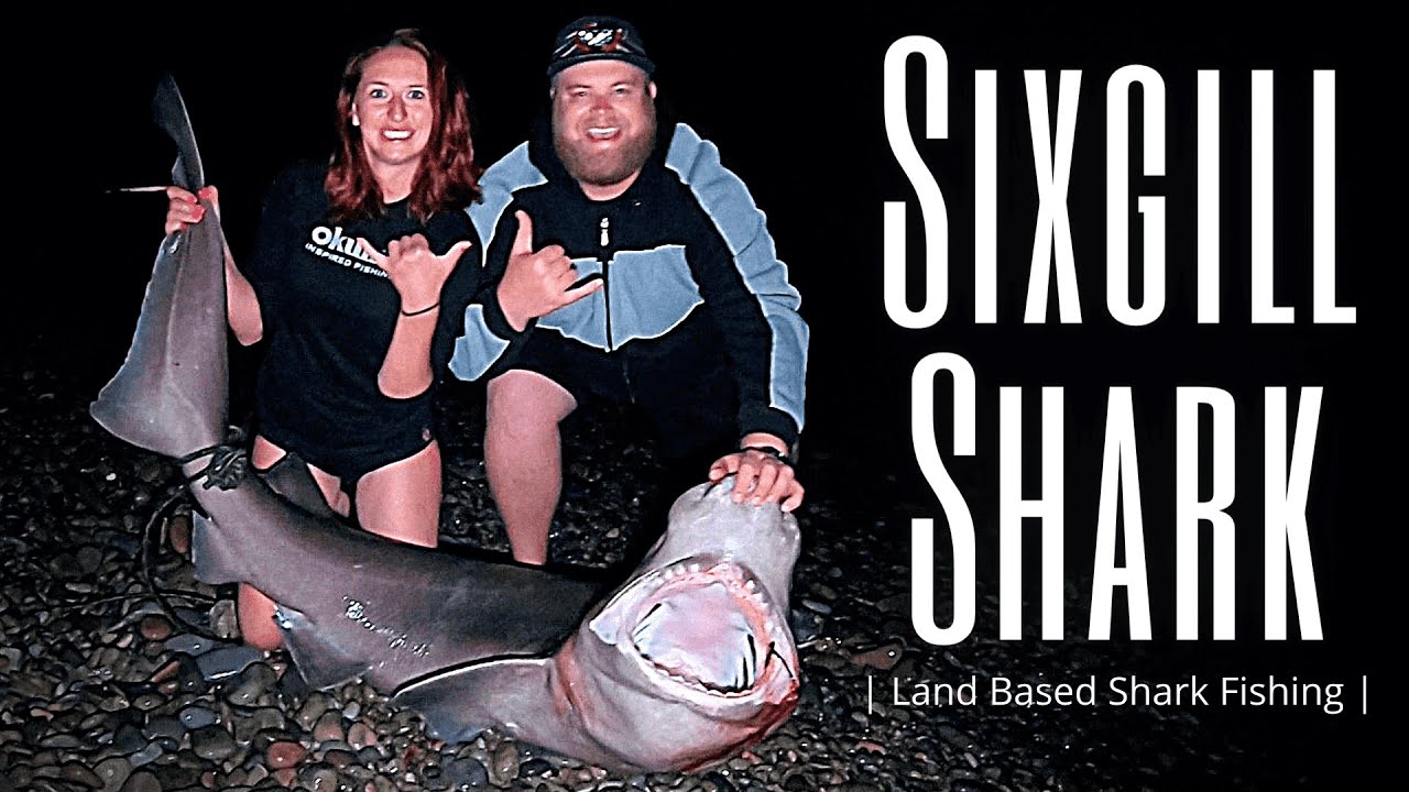 SIXGILL SHARK Caught From The Beach!!! (ISLAND FISHING) - YouTube