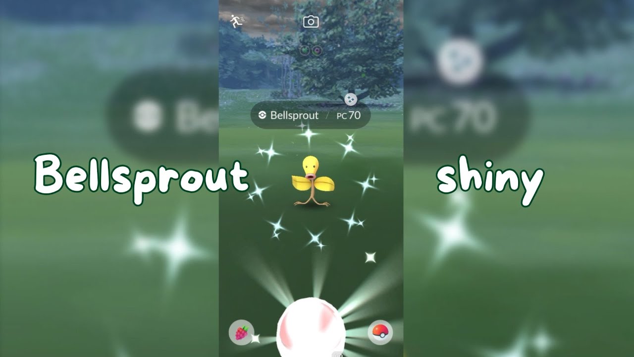 Evolución de Bellsprout Shiny - Pokémon Go - YouTube