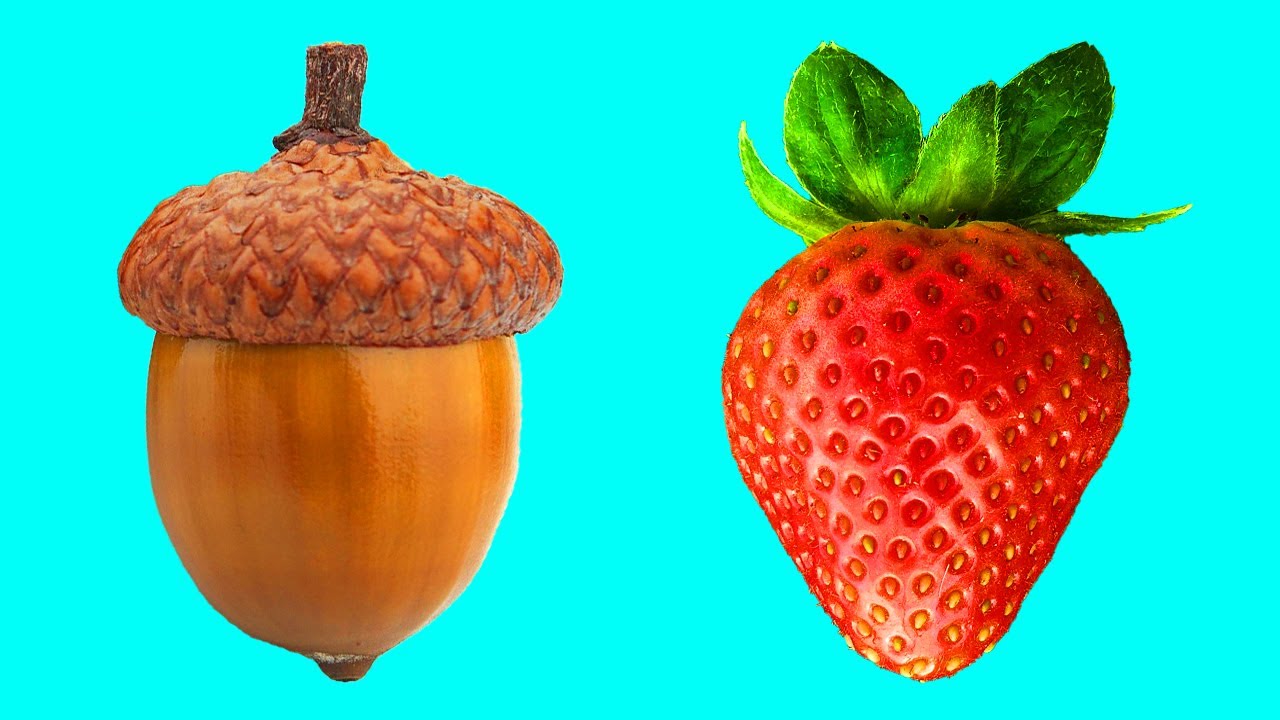 과일, 채소 및 버섯 내부의 숨겨진 패턴 스톱 모션. 🥝🍒🥑 Hidden Patterns Inside Fruits ...