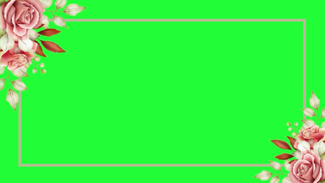 GREEN SCREEN BUNGA MAWAR FREE DOWNLOAD - YouTube