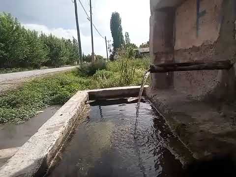 Dünyanın gidişi acayip oldu düşman belli değil dost belli değil.