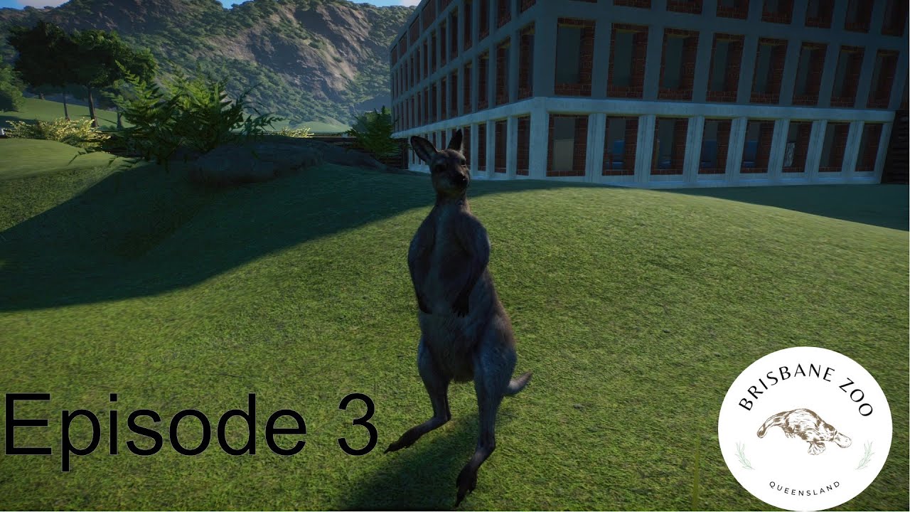 Brisbane Zoo || Episode 3 - YouTube