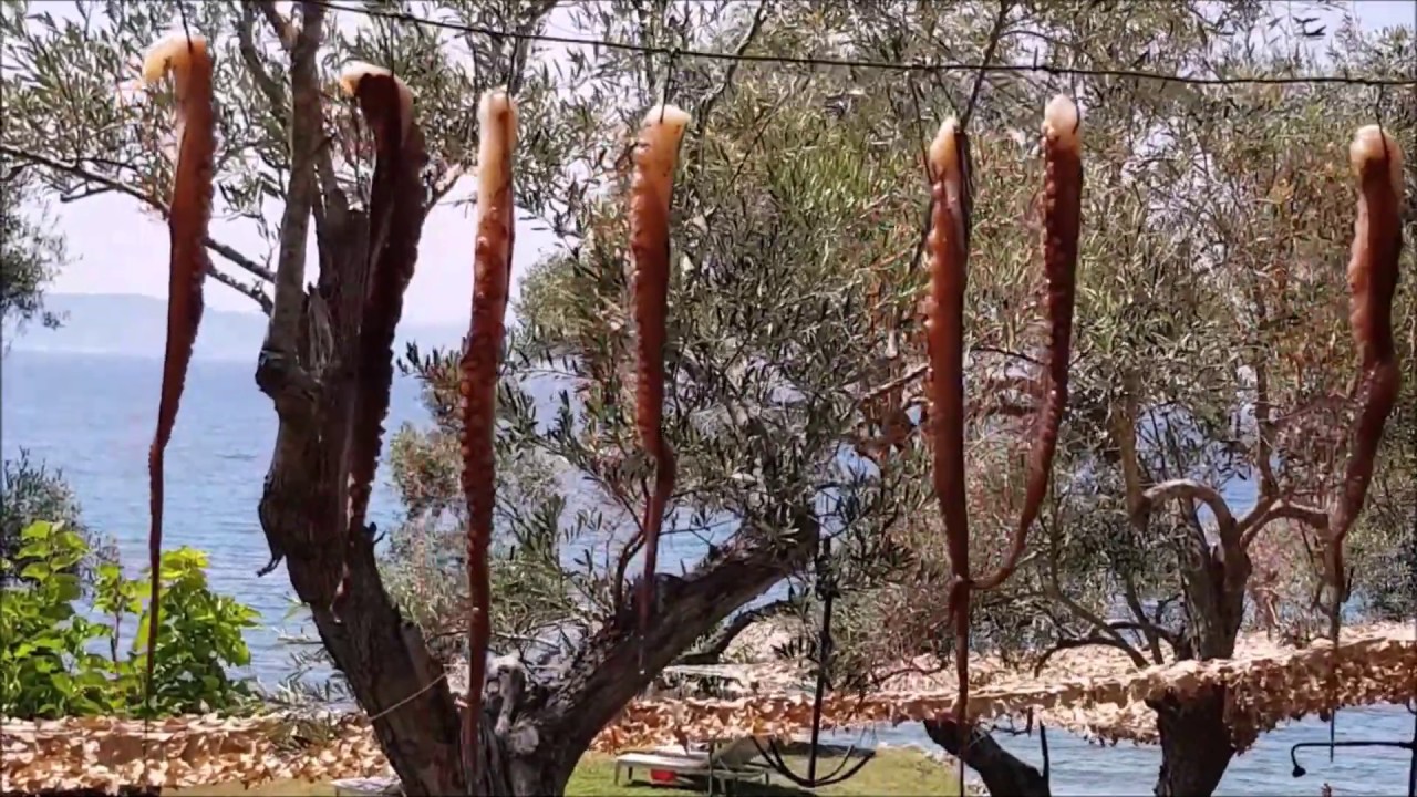 Kechria beach Skiathos - YouTube