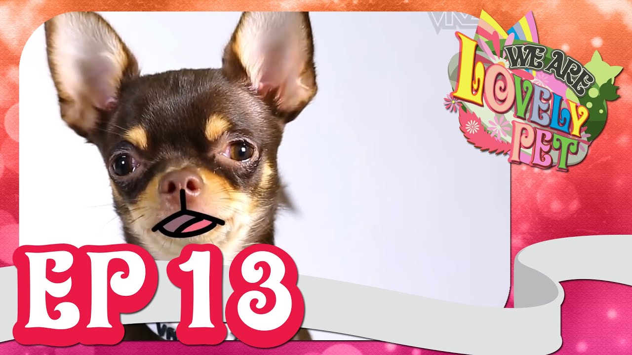 We Are Lovely Pet - "ขี้ไม่ราด" [Ep.13] 18+ l VRZO - YouTube