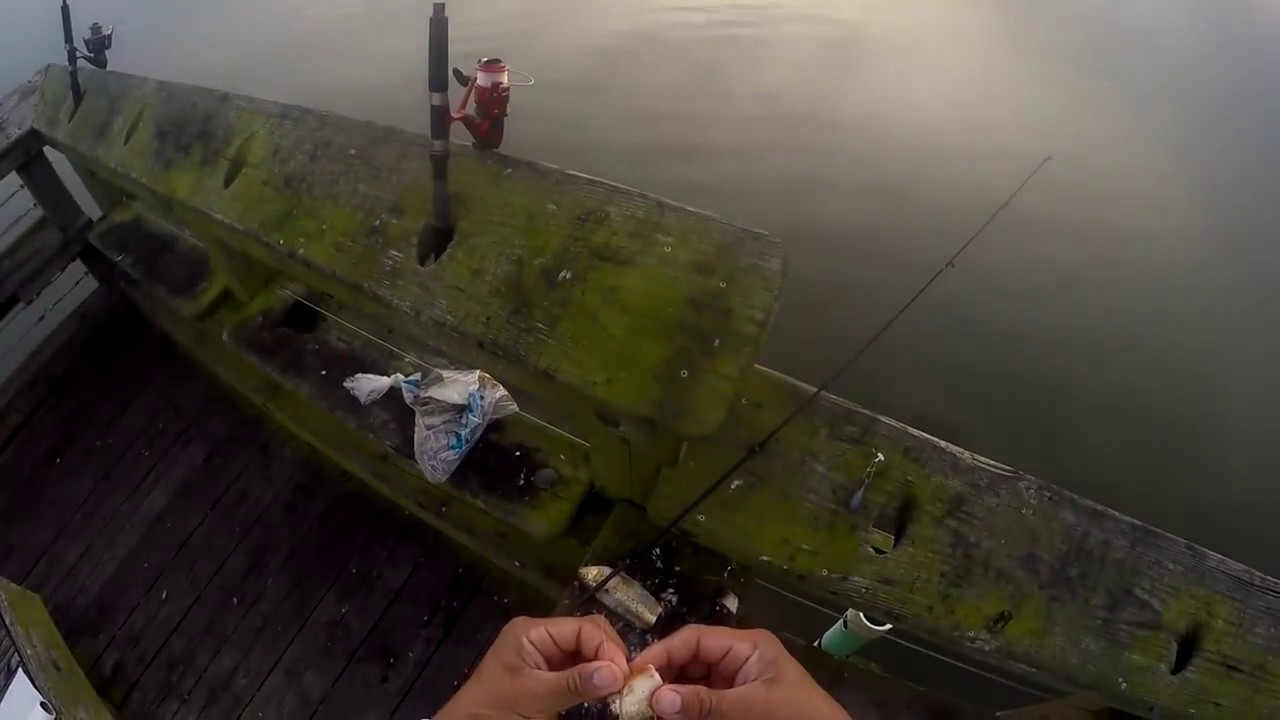 How to fish with bunker chunks using the Hi-Lo rig - YouTube