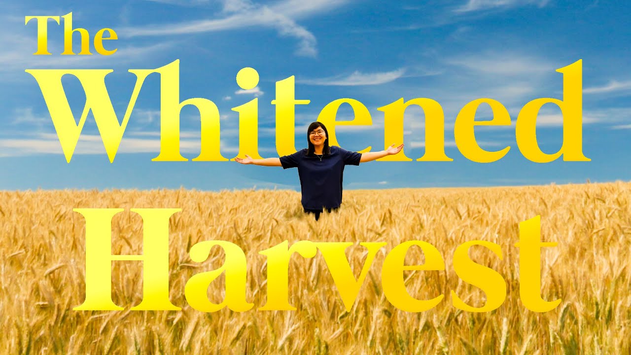 The Whitened Harvest | Huang Ern | Lifeline Abide | NCCkl - YouTube