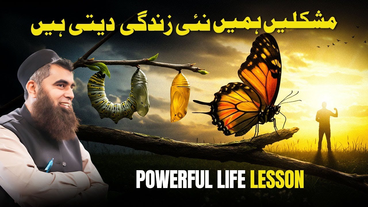 How a Butterfly Explains the Life of an Entrepreneur? | Entrepreneur ...