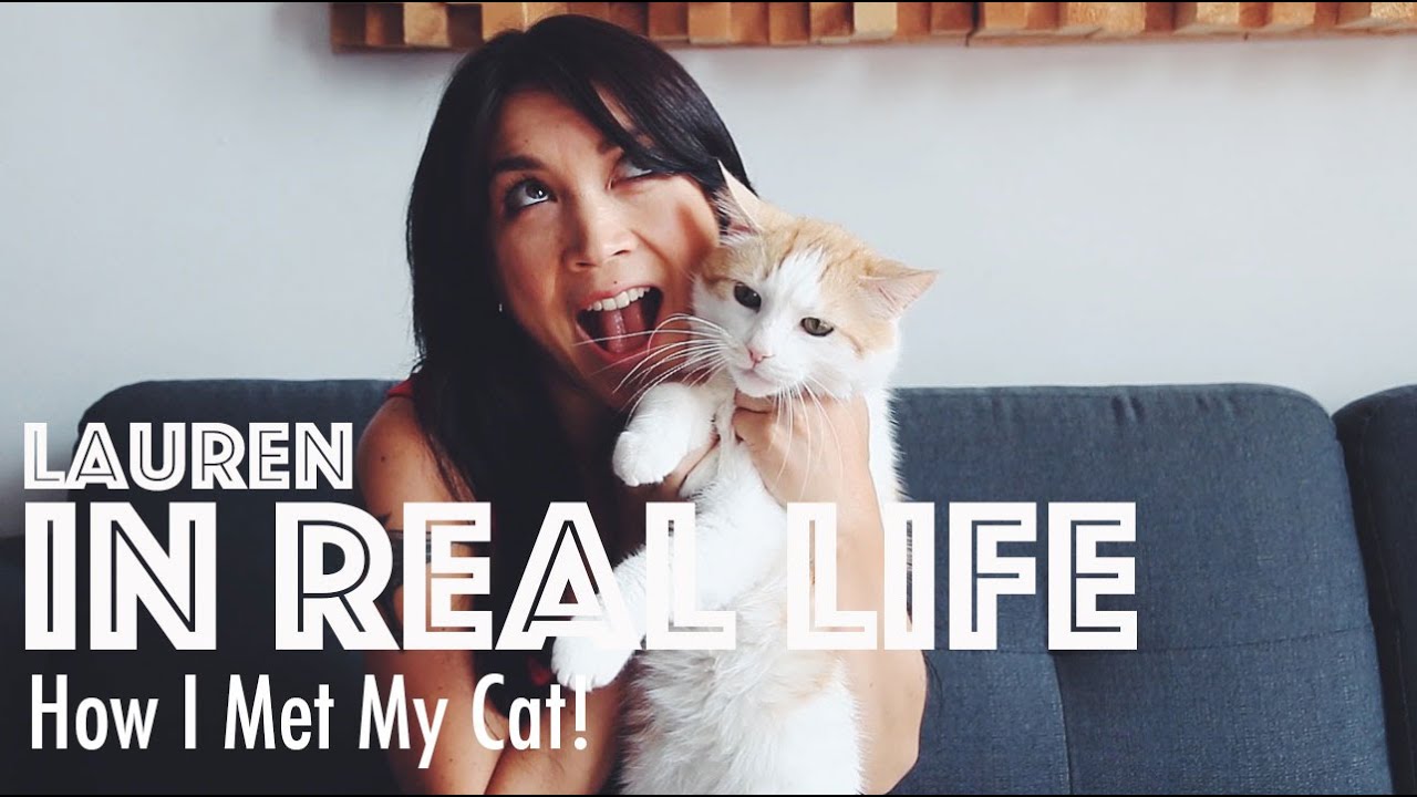 HOW I MET MY CAT! | Lauren In Real Life - YouTube