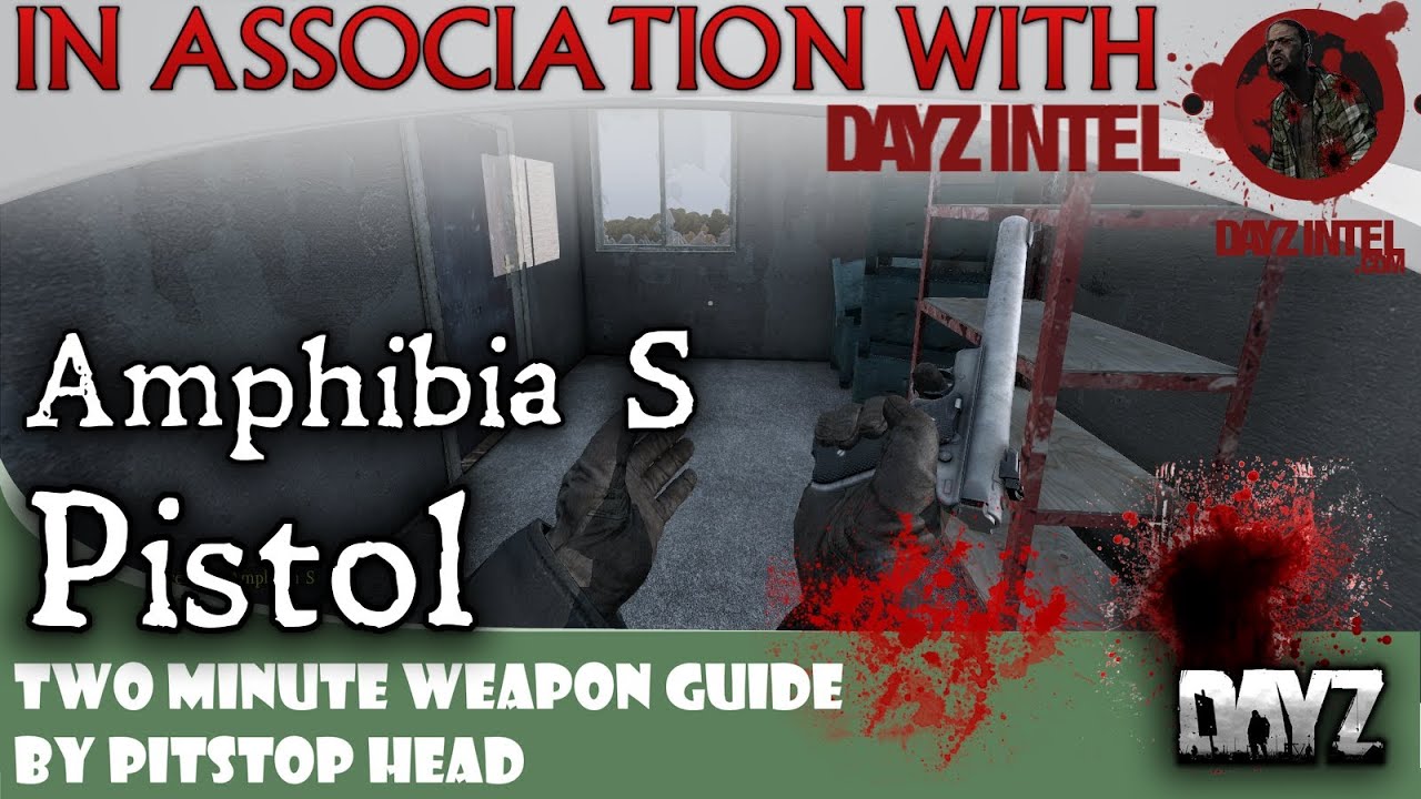Amphibia S Pistol | Dayz Standalone Weapon Guide - YouTube