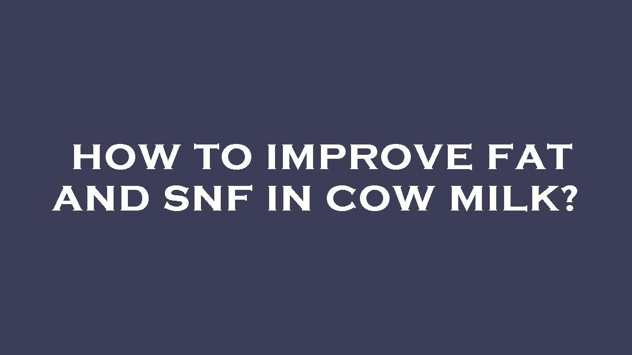 How to improve fat and snf in cow milk? - YouTube