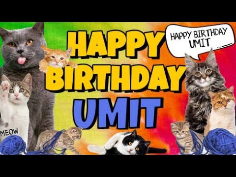 Happy Birthday Umit! Crazy Cats Say Happy Birthday Umit (Very Funny)