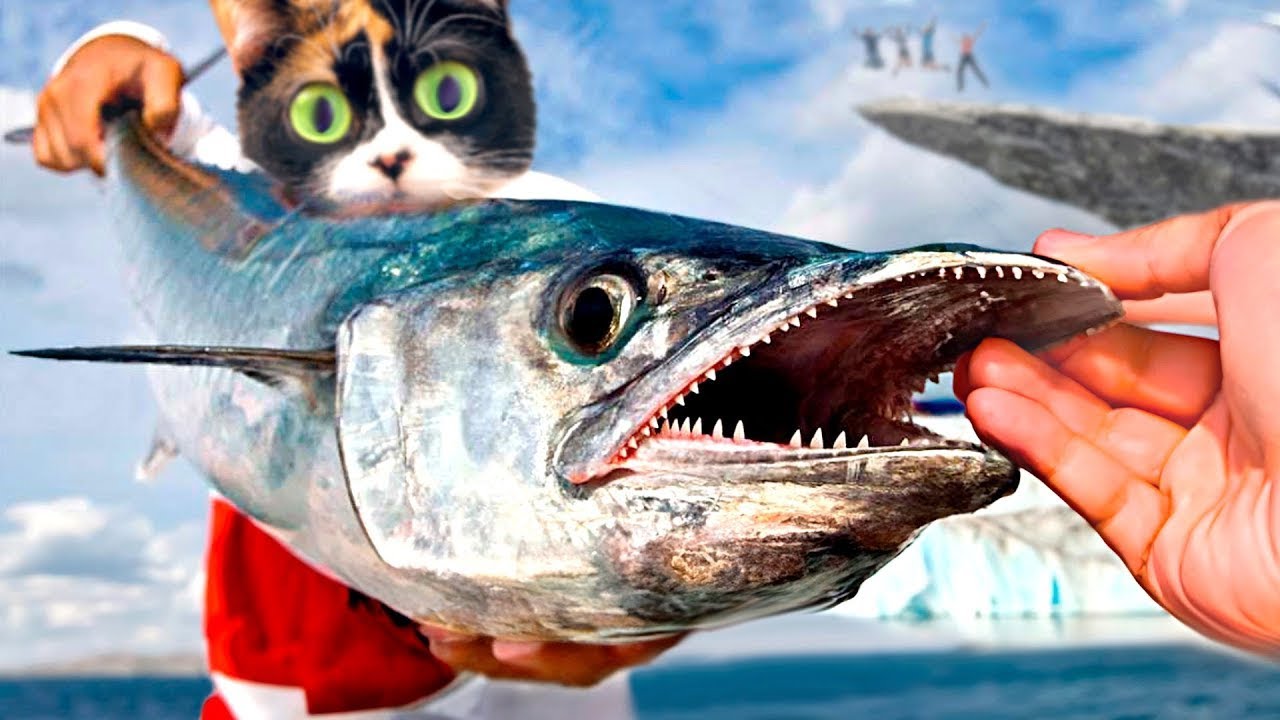 WE RAN OUT OF FOOD - OUR LAST VIDEO IN NORWAY - YouTube