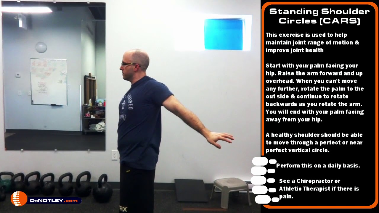 Standing Shoulder Circles Cars Dr Notley Winnipeg Chiropractor And