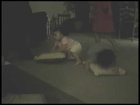 dog pile bella
