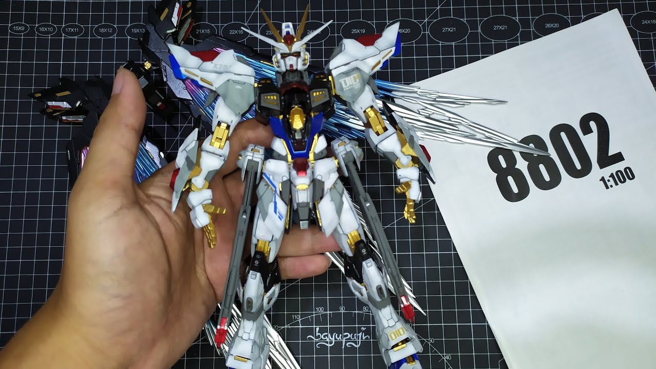 Quick Review Model kit Master Grade 1/100 scale Daban 8802 Strike ...