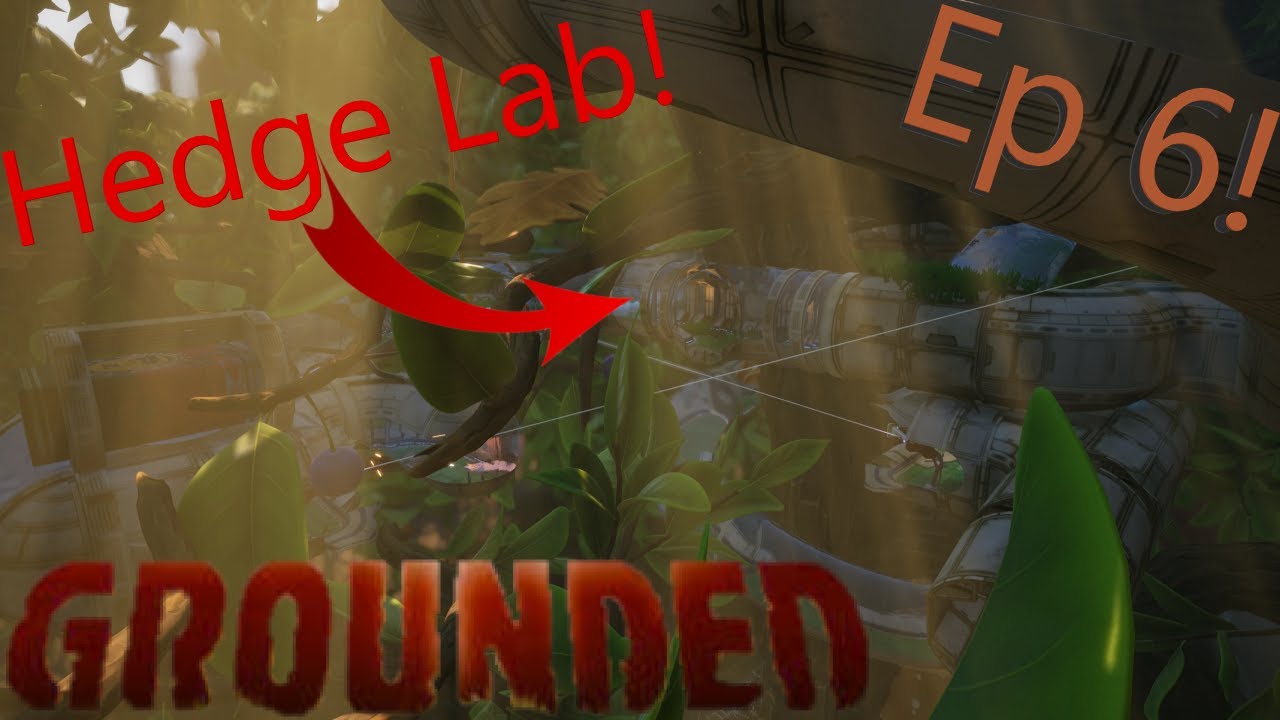 Conquering the Hedge Lab! l Grounded Ep 6 - YouTube