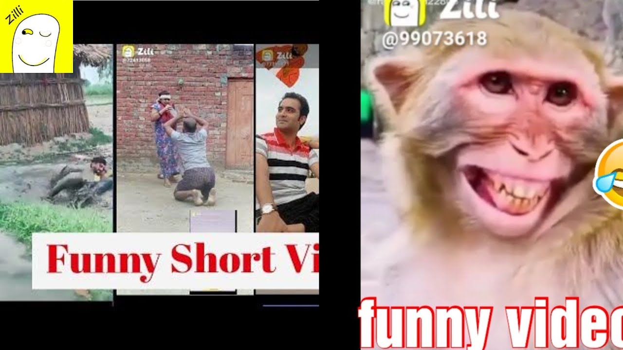 Best Comedy Funny Videos Zilli Funny Videos New Zilli Funny Video 2021 ...