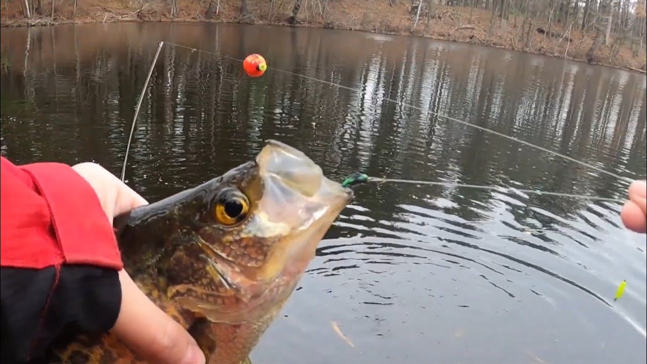 Wet fly: Bug fly pattern. how to tie and the catches. - YouTube