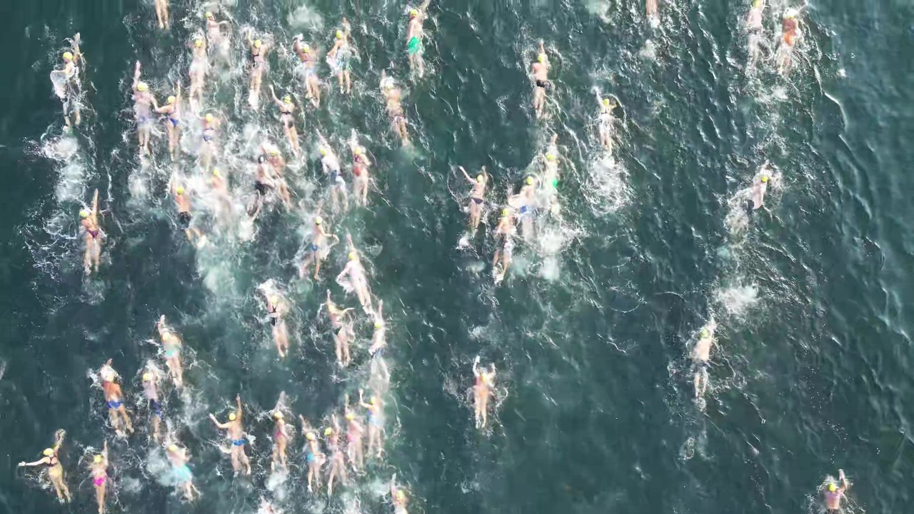 2024 Jolla Cove Swim 1- and 3-Mile Drone Film - YouTube