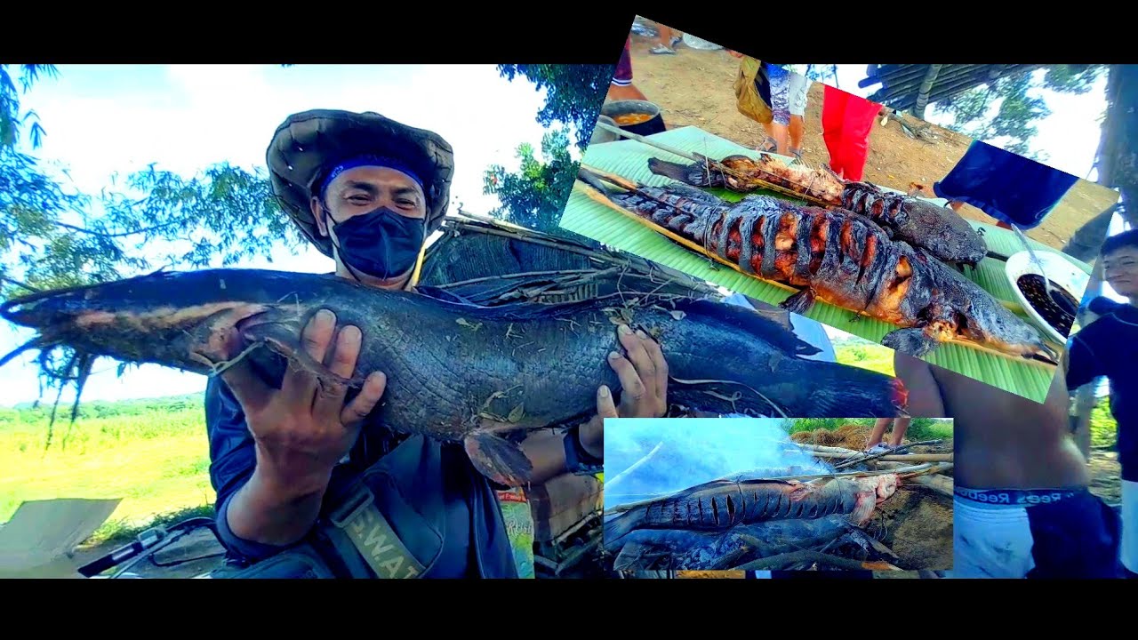 BIG Hito - YouTube